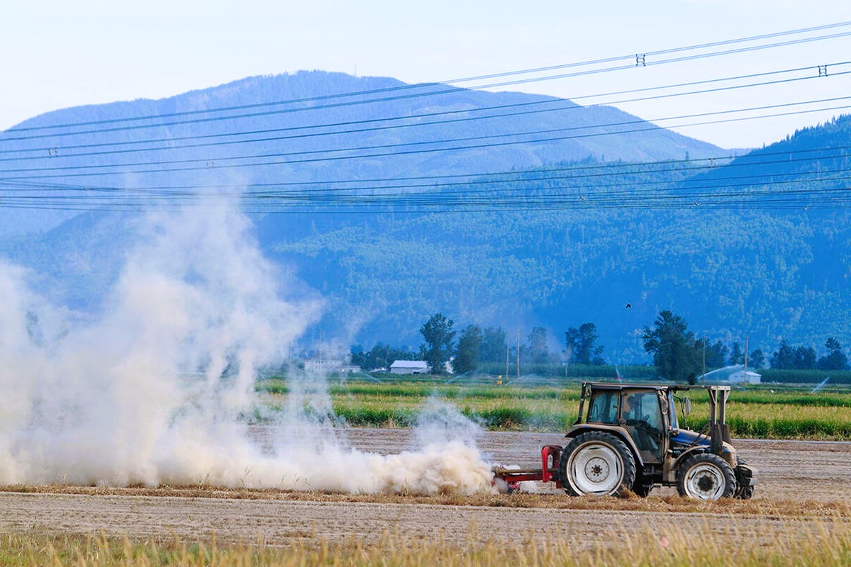Exploring the Rich History of Farming in Abbotsford, Canada – Gelderman ...