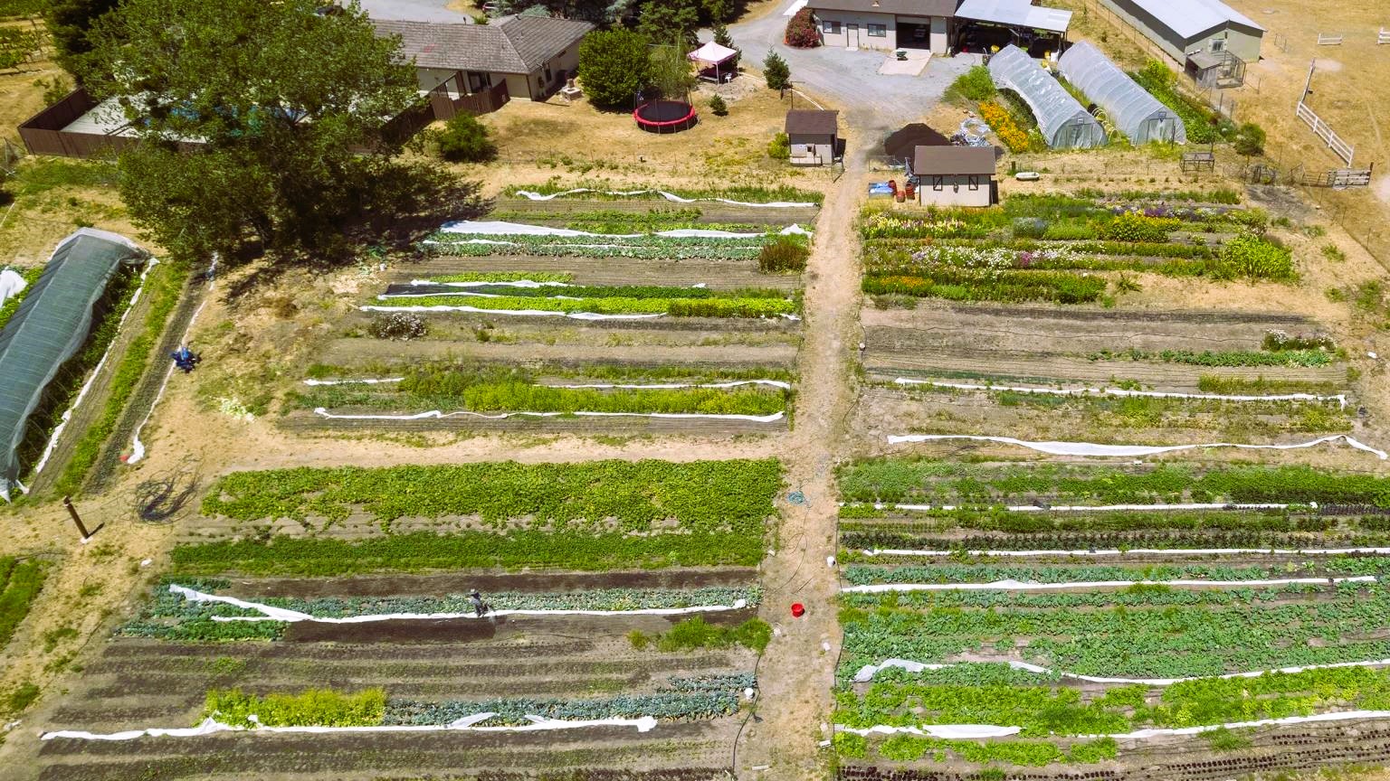 About Us – Gelderman Farms